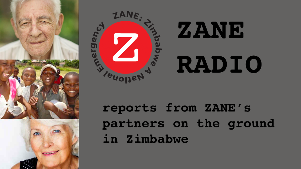Zimbabwe Charity | Helping people in Zimbabwe | ZANE - Zimbabwe a ...