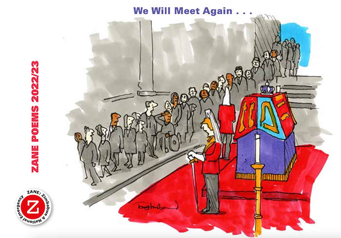 Zimbabwe Charity | Helping people in Zimbabwe | ZANE - Zimbabwe a ...