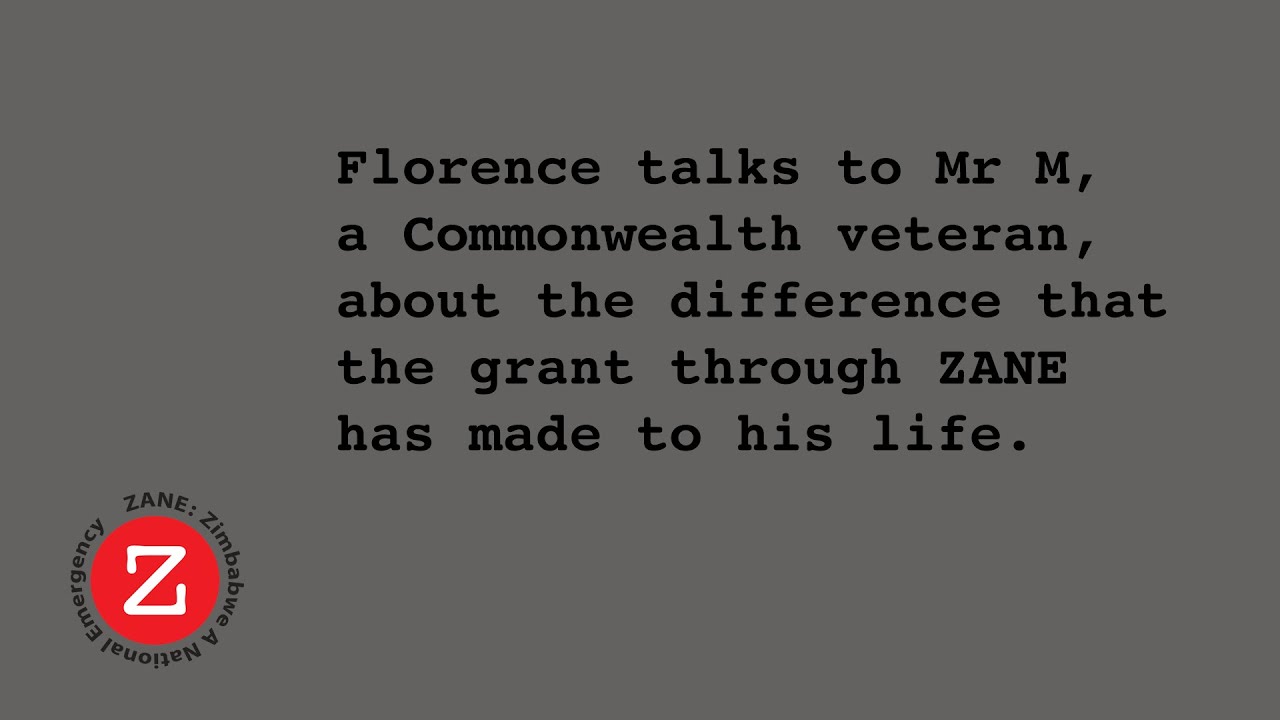 ZANE - Zimbabwe a National Emergency | About Us