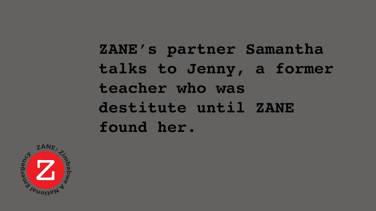 ZANE - Zimbabwe a National Emergency | About Us
